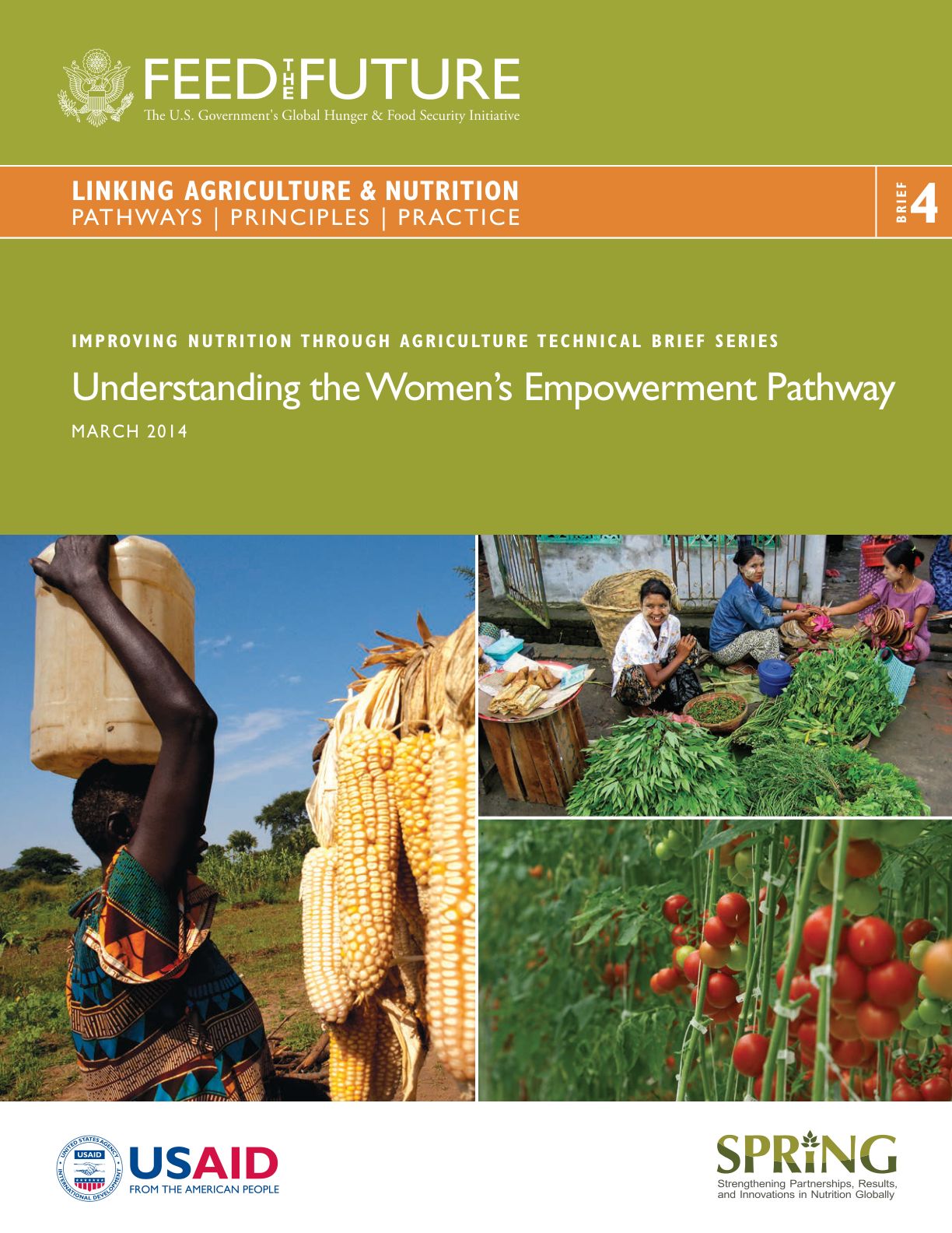 Understanding the Women's Empowerment Pathway: A SPRING Brief - DECfinder