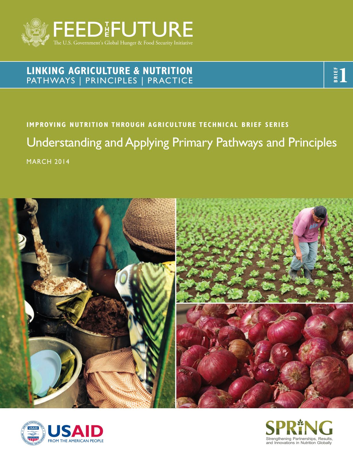 Understanding and Applying Primary Pathways and Principles in Nutrition ...
